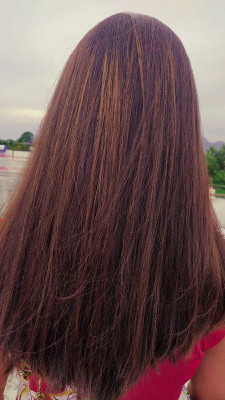 Light Chestnut Brown Hair Color Hortaleza