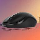 ZEBRONICS Comfort Wired Optical Mouse - ZEBRONICS : Flipkart.com