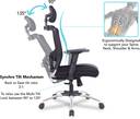 GREEN SOUL Jupiter Superb High Back Ergonomic|Home, Office|2D Headrest ...