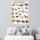 Both Side Printed Pet and Wild Animals Charts for Kids | Learn about ...