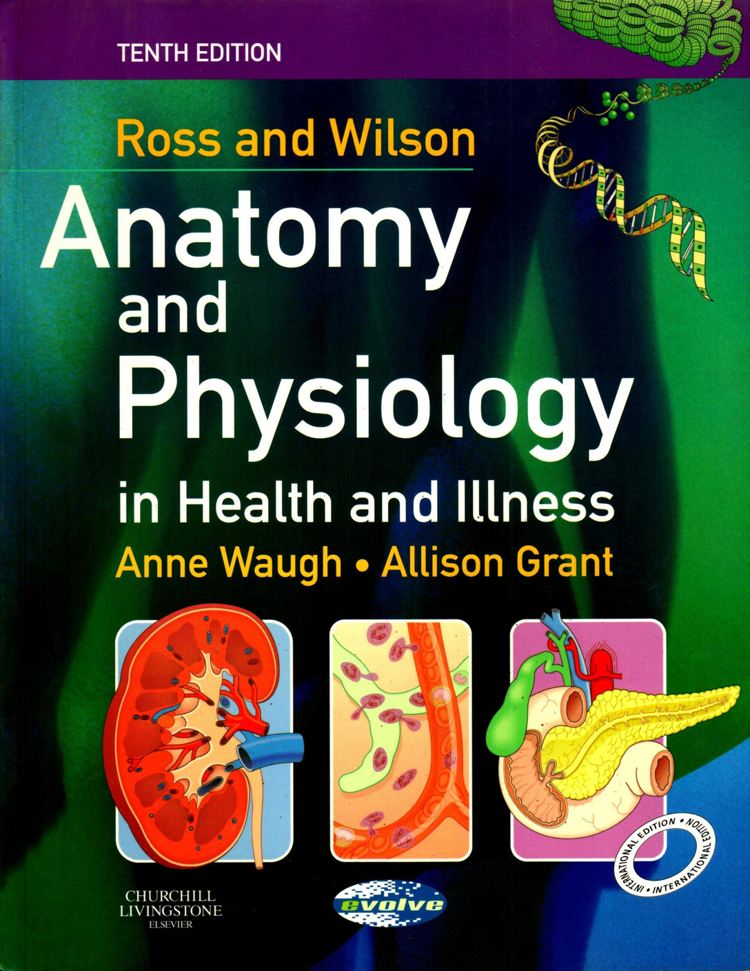 Anatomy And Physiology Book For Nurses Ross And Wilson Zbooksg anatomy-and-physiology-book-for-nurses-ross-and-wilson-zbooksg