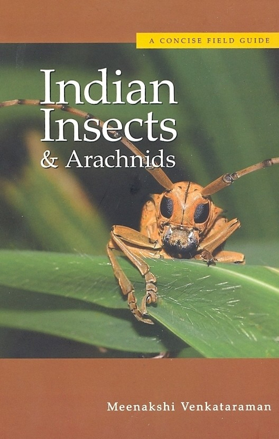 A Concise Field Guide to Indian Insects and Arachnids - Buy A Concise ...