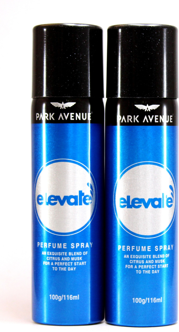 Park Avenue Elevate Perfume Body Spray - For Men - Price in India, Buy ...