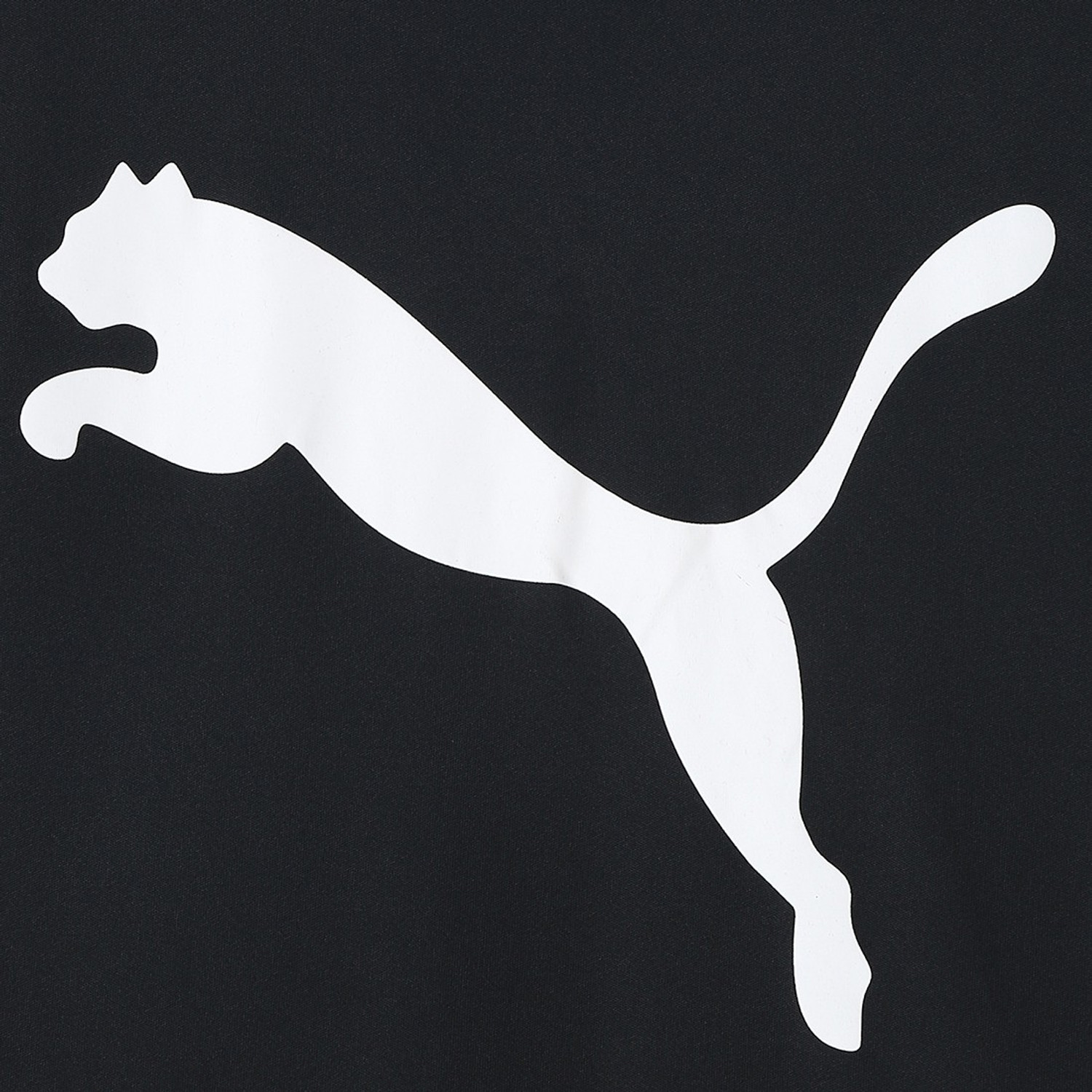 PUMA Boys Printed Polyester Regular T Shirt - Price History