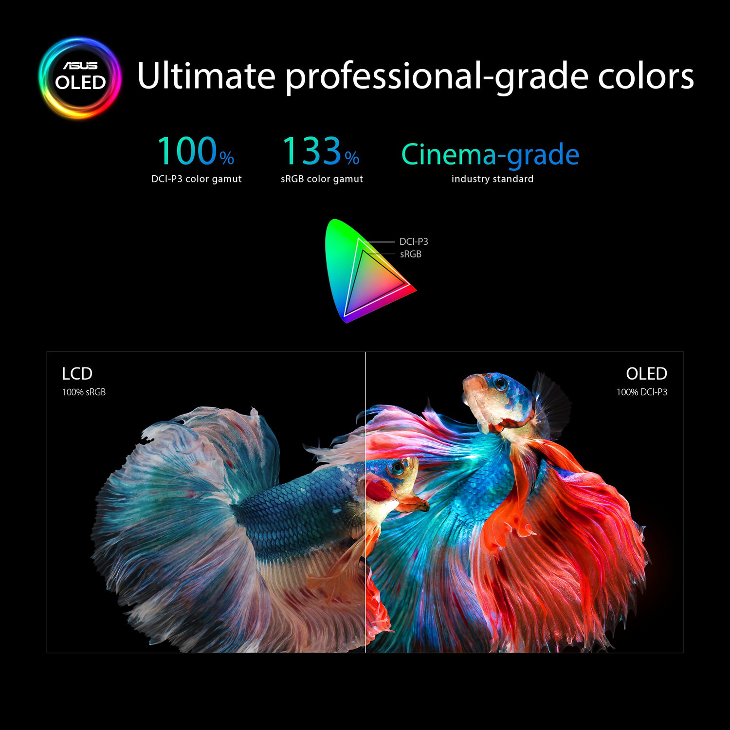 ASUS VivoBook K15 OLED (2021) AMD Ryzen 5 Hexa Core AMD R5-5500U - (8 ...