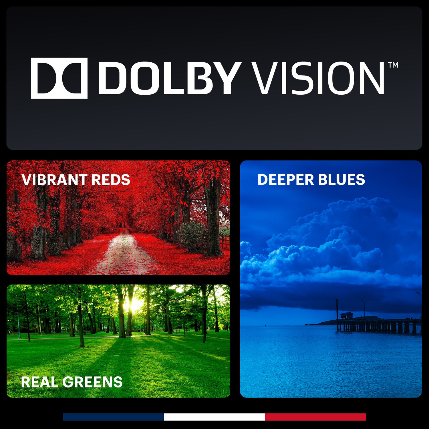 Thomson 126 cm (50 inch) QLED Ultra HD (4K) Smart Google TV with HDR 10 ...