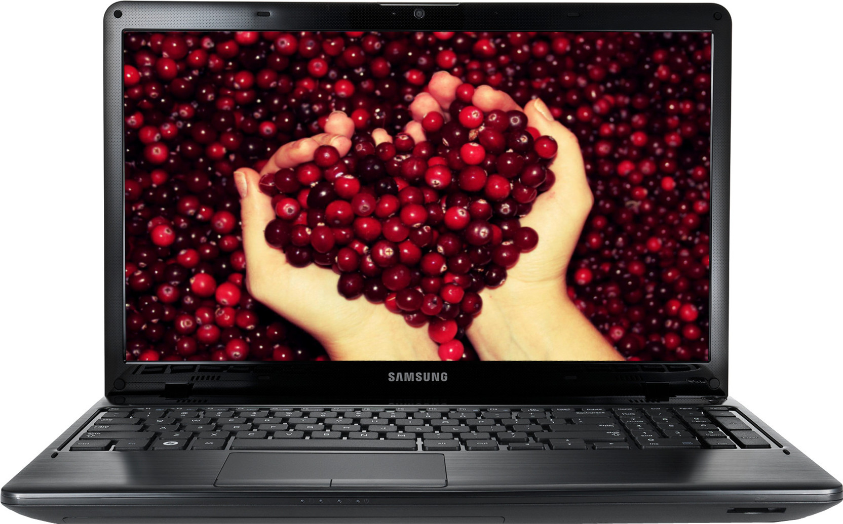 Samsung NP355E5C-A01IN Laptop (APU Dual Core/ 2GB/ 320GB/ Win8) Rs ...