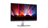 DELL S Series 24 inch Full HD IPS Panel Monitor (S2421HNM / S2421HN ...