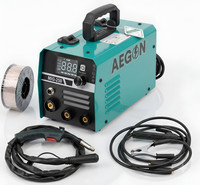 AEGON MIG-250 Portable Inverter Welding Machine with Torch, Clamp ...