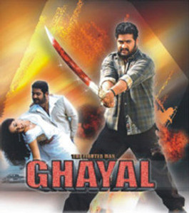 Ghayal The Fighter Man