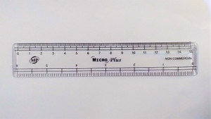 6 Inch Ruler To Scale