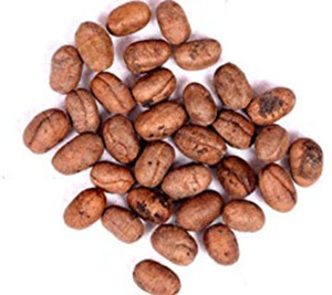 Ashoka Tree Seeds