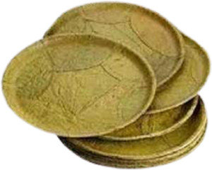 vrindavan shopi Natural Patravali Pattal Vistaraku Vistar Khali Sal Leaf Plates 50Pcs from Orissa for Prasadam Quarter Plate Price in India Buy vrindavan shopi Natural Patravali Pattal Vistaraku Vista...