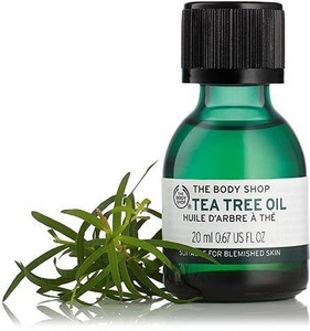 Tea Tree Oil - Buy Tea Tree Oil online at Best Prices in India ...
