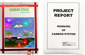Carbon Model Project