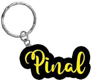 Pinal Name Logo