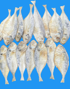 Vatta Fish LuLu Hypermarket QA | Fresh Catch, Now At A New Price!