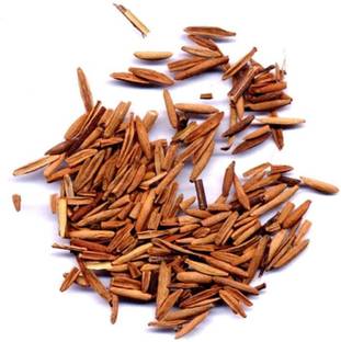Urancia Indrajav Katuja Indrajao Holarrhena antidysenterica seeds 250gm ...