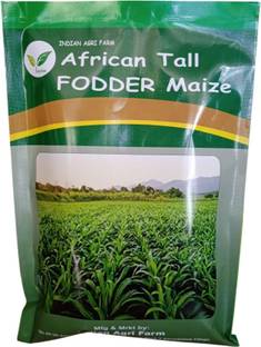 IAgriFarm African Tall Fodder Maize seed Total Weight 2 kg Seed Price ...