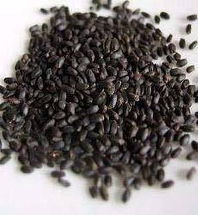 mahadev herbs of india Babchi - Bavanchalu - Bakuchi - Seeds ...