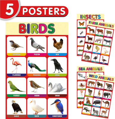 Early Learning Posters for Kids Preschool Includes Birds , Insects ...