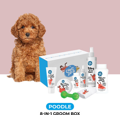 Captain Zack The Poodle Groom Box – Ultimate 8-in-1, Head-to-Paw Groom ...
