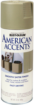 Buy Rust-Oleum American Accents Fossil Spray Paint 340 ml(Pack of 1) on ...