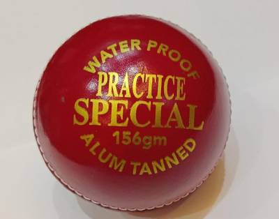 royal prince sports RP ROYAL PRINCE Cricket Practice Special Season ...