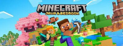 Minecraft java and bedrock standard(Code in the Box - for PC) Lowest ...