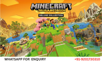 Minecraft java and bedrock DELUXE account Deluxe Edition(Code in the ...