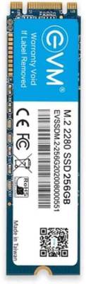 EVM SSD 256 GB Laptop, Desktop, All in One PC's Internal Solid State Drive (SSD) (SSD 256GB M.2 ...