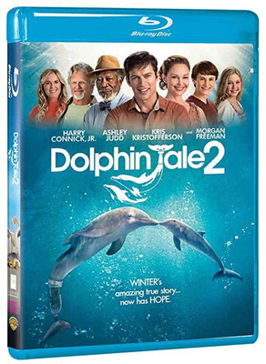 dolphin tale 2(Blu-ray English) Lowest Price in Online , India- Reviews ...