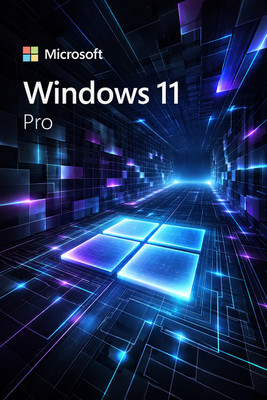 MICROSOFT Windows 11 Professional Lifetime License (2026 January ...