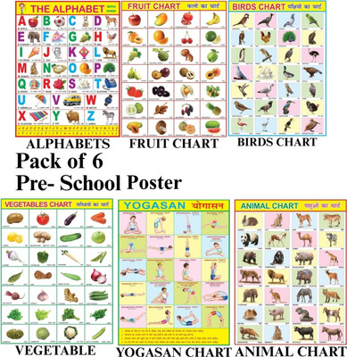 Combo of 6 Chart Birds, Animals, Fruits, Vegetables, English Alphabet ...