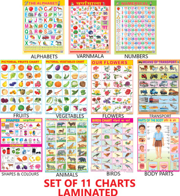 Early Learning Educational Charts set for Kids | 45X60 cm | Set of 11 ...