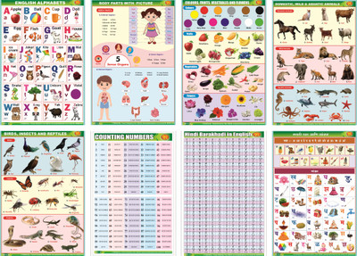 Alphabet, Birds, Insects And Reptiles, Body Parts With Pictures ...