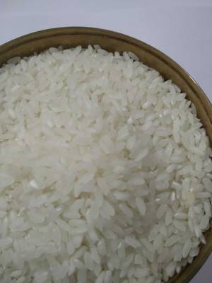 KSETRIKAGRHA MASHURI RICE - 5KG Arwa Raw Rice (Full Grain) - Price History