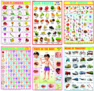 Kids Learning Charts Set: Educational Posters For Kids Paper Print(14 ...