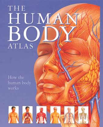 The Human Body Atlas: Buy The Human Body Atlas by Parker Janet at Low ...