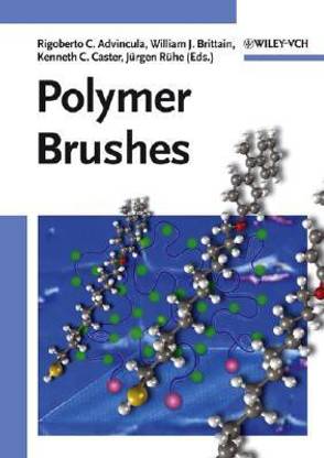 Polymer Brushes - Synthesis, Characterization and Applications: Buy ...