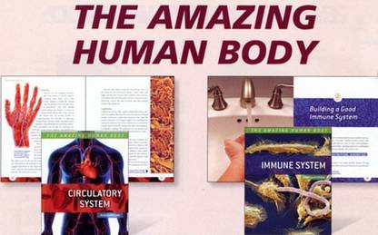 The Amazing Human Body (Group 1): Buy The Amazing Human Body (Group 1 ...