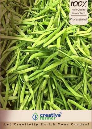 creative farmer Kothamara Seeda Seed Price in India - Buy creative ...