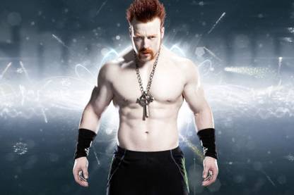 Sheamus muscle Poster Paper Print (18 inch X 12 inch, Rolled) Paper ...