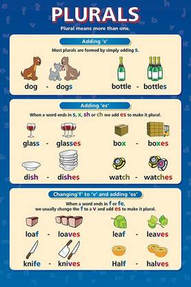 Poster | Plurals | English Chart | Wall Chart | Educational Poster ...