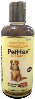What Is The Best Antifungal Shampoo For Dogs