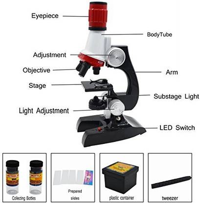 Microscope Diagram For Kids