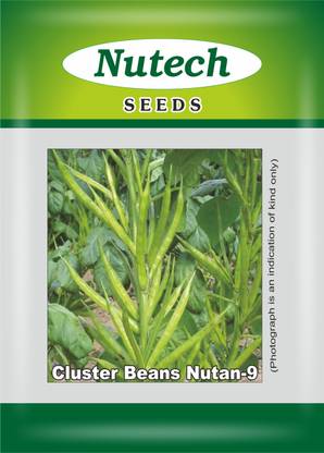 Nutech Seed Careers