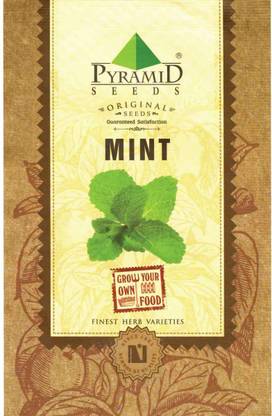 Pyramid Seeds Mint (Pudina) Seed Price in India - Buy Pyramid Seeds ...