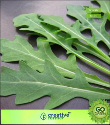 creative farmer Sisymbrium Officinale Seed Price in India - Buy ...