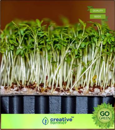 creative farmer Microgreen Cress Seeds Asali Seed Price in India - Buy ...